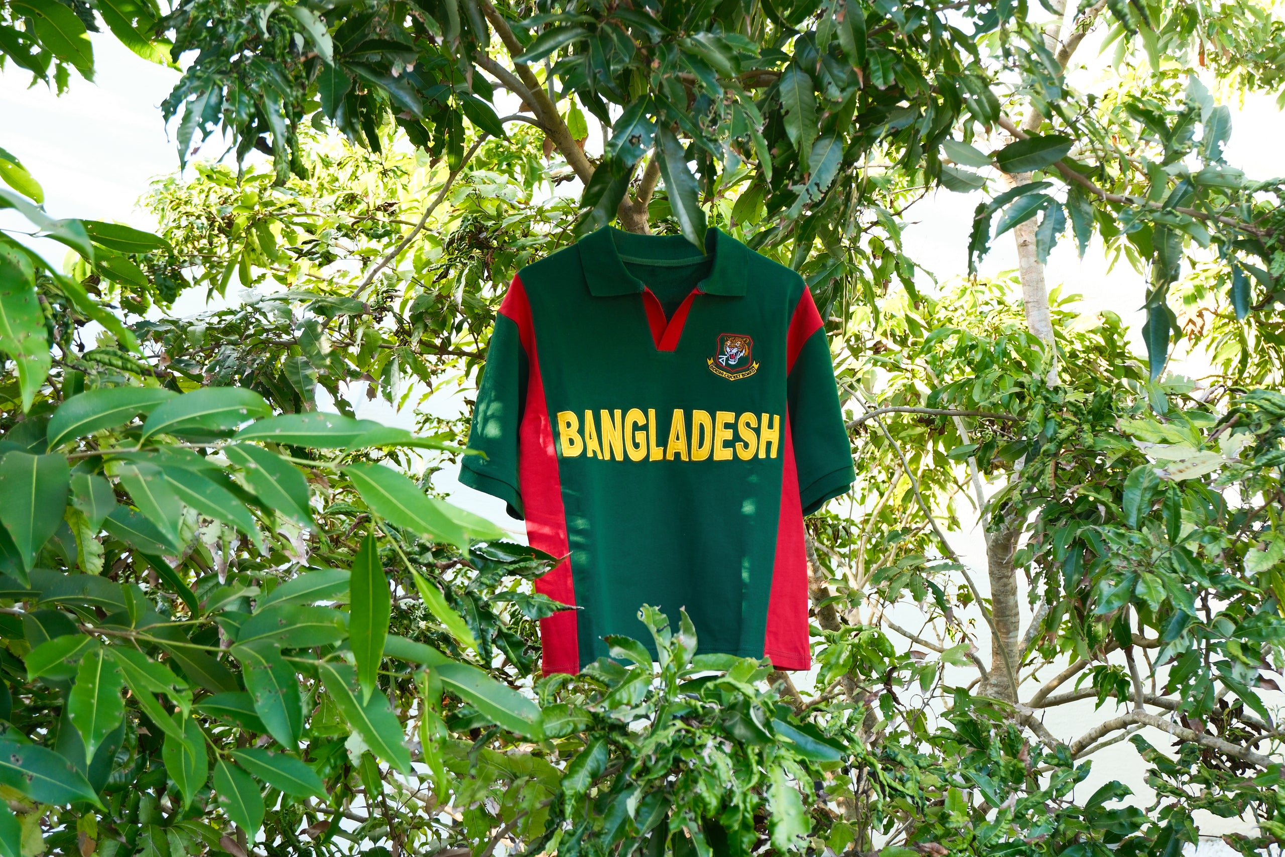 Bideshi - Bengali Cultural Clothing & Art